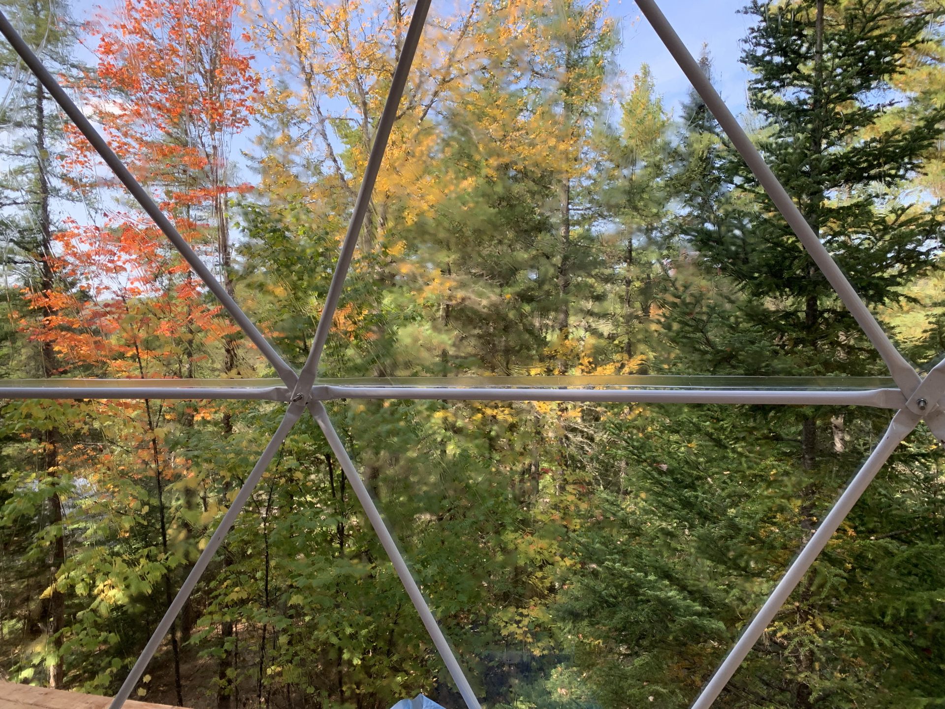 FAQ - Balsam Ridge Forest Domes Inc.