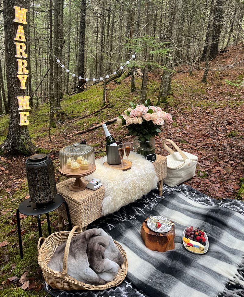 "Marry Me" Package - Balsam Ridge Forest Domes Inc.